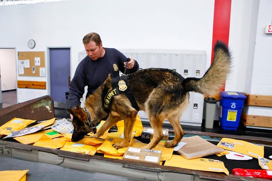 DHS Science & Technology Directorate Announces K-9 Research, Innovation ...