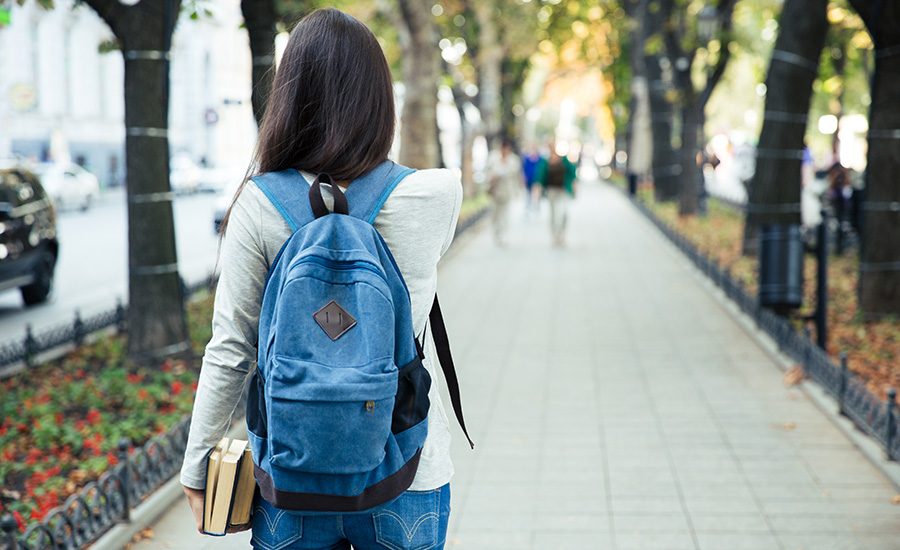 2019 State of School Safety Report Identifies Top-Three School Safety ...