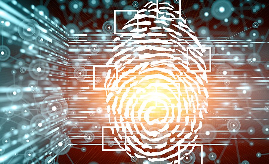 NIST Study Measures Performance Accuracy of Contactless Fingerprinting ...