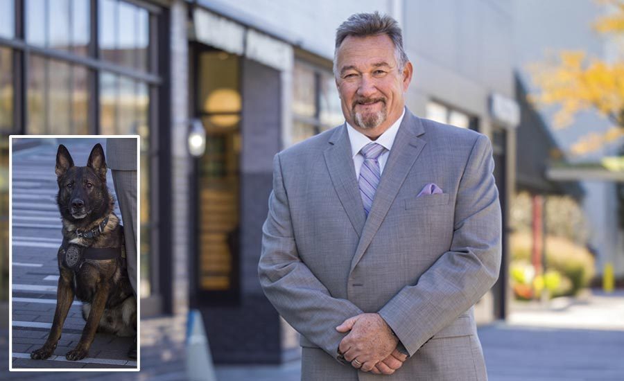 2018 Guarding Report: Changing Times for the Guarding Industry | 2018 ...