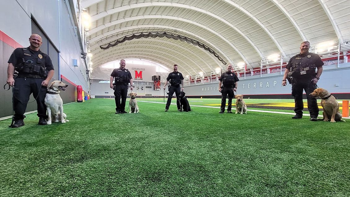 Leveraging K-9 capabilities within security | Security Magazine