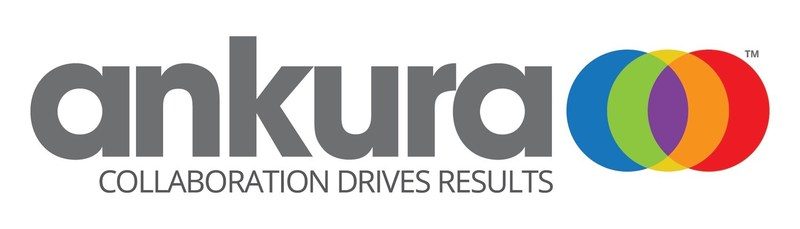 Ryan Rubin joins Ankura's global cybersecurity and data practice as ...
